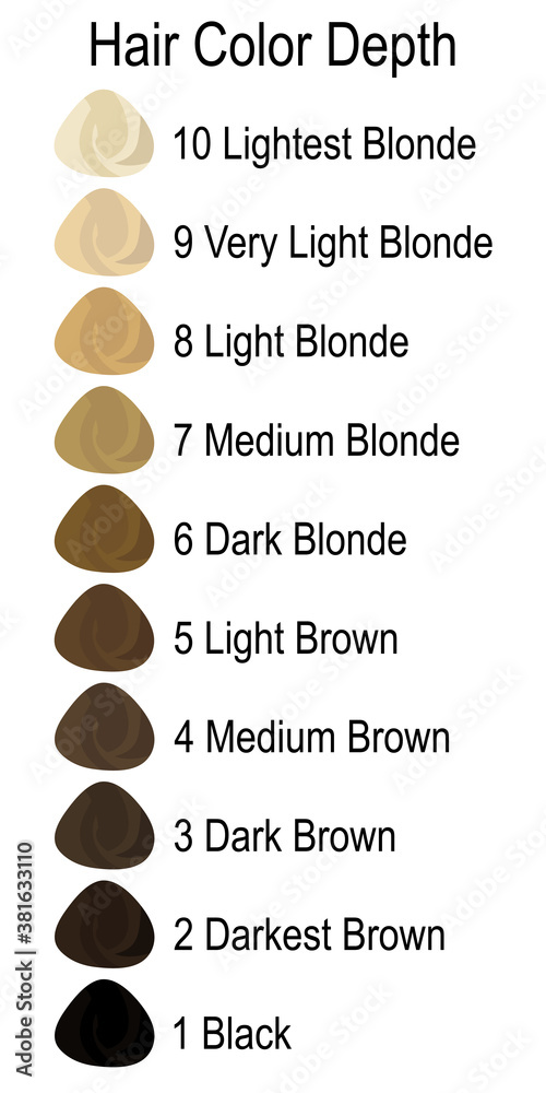 Stock vector palette with hair colour numbering system. Quality image ...