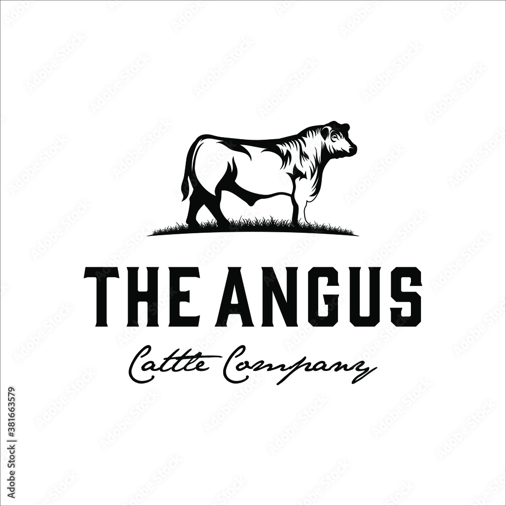 Angus bull logo design with classic and elegant style vector de Stock | Adobe Stock