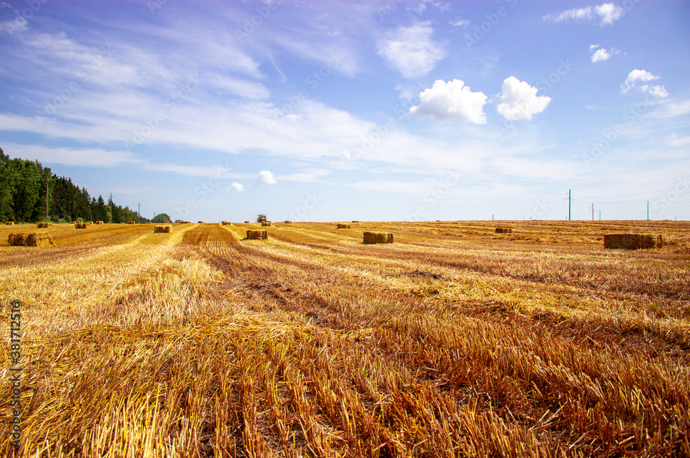 A tractor uses a trailed bale machine to collect straw in the field and ...