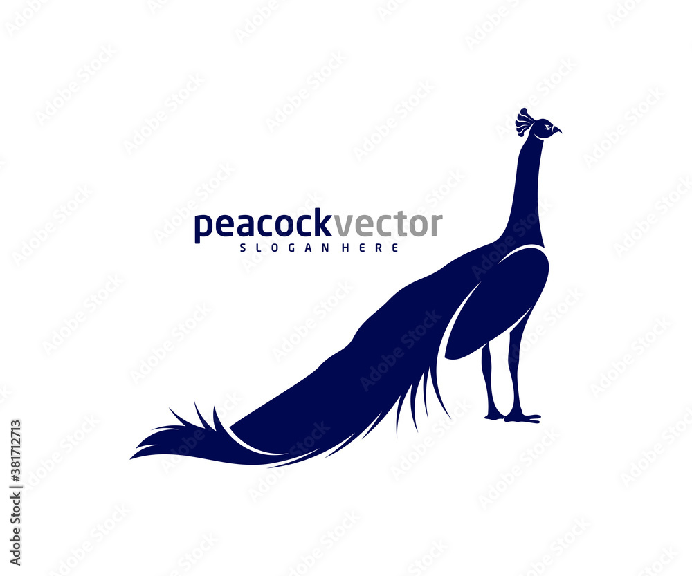 Peacock Logo Design Vector Template Peacock Bird Illustration Stock