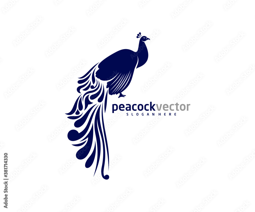 Peacock Logo Design Vector Template Peacock Bird Illustration Stock