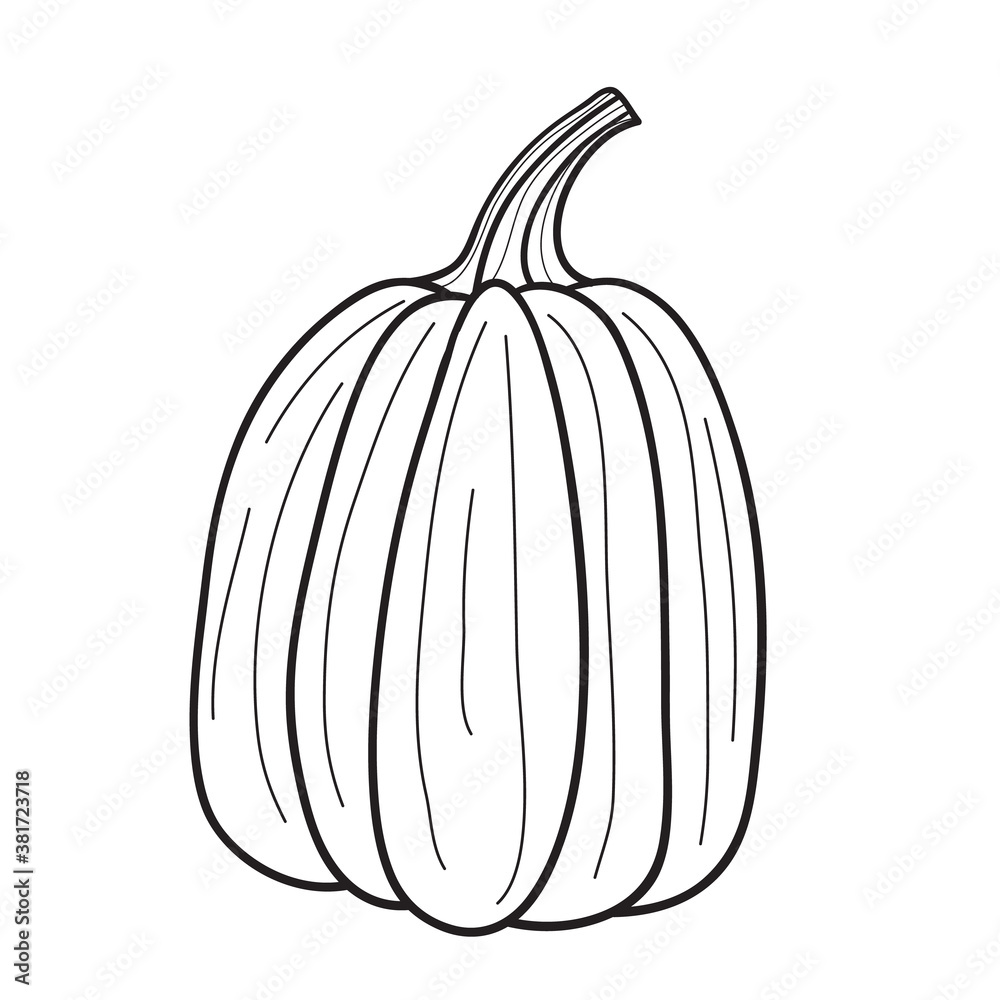 Pumpkin for coloring book. Line art design for kids coloring page ...
