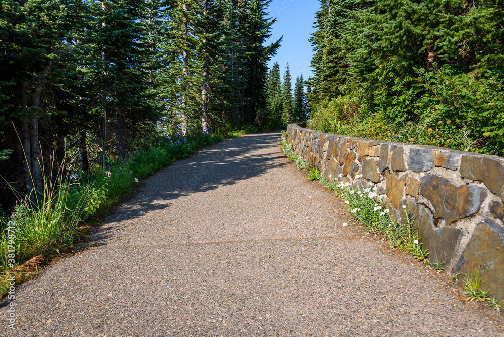 Wide aggregate walking path at Mt Rainier with stone wall evergreen ...