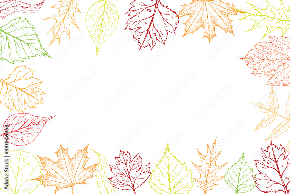 square frame with autumn leaves. fall background on white. Autumn ...