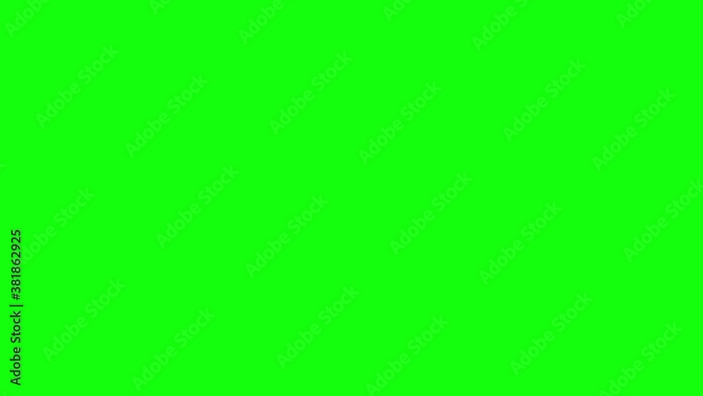 10 intro animations of a dog symbol or icon. Green Screen Chroma Key ...