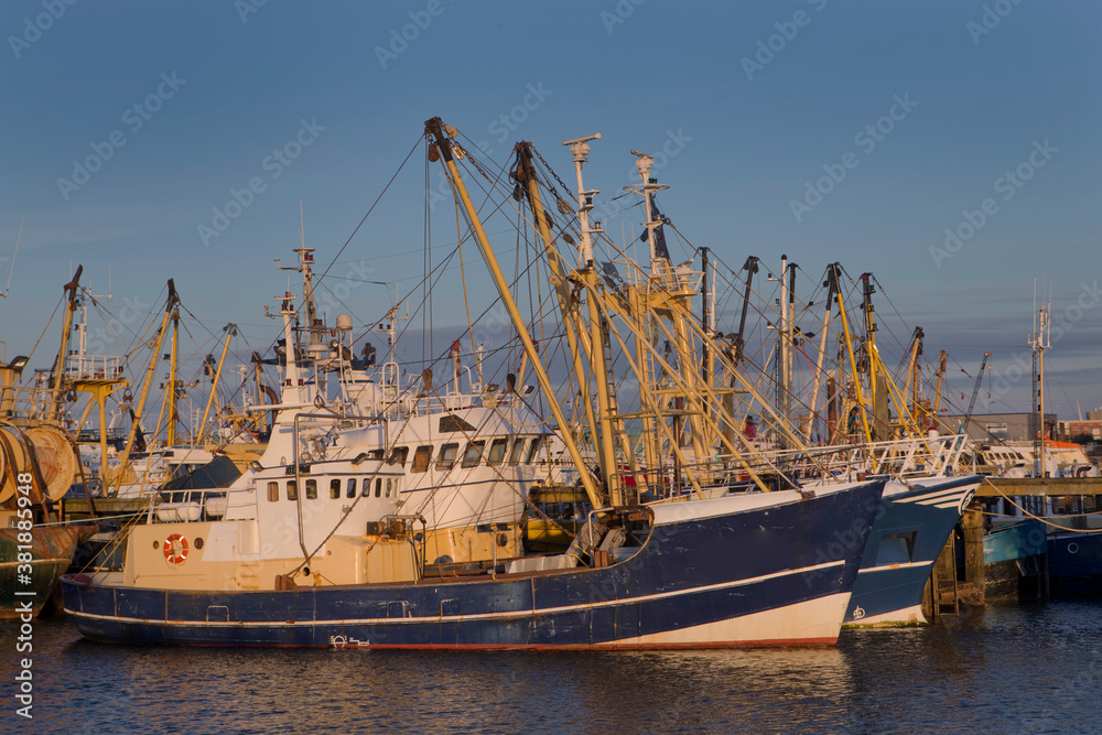 Fishing boats at Port of Harlingen Friesland. Harbour. Sailing at ...