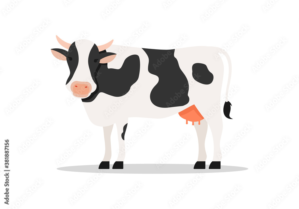 Black and white spotted cow. Vector illustration on the white ...