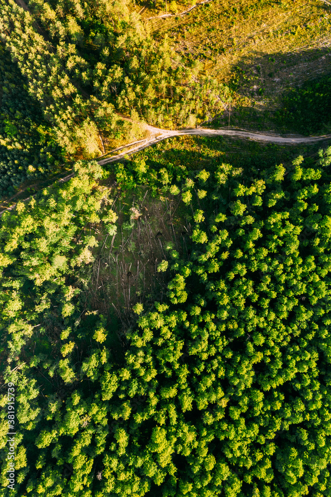 Aerial View Green Forest Deforestation Area Landscape. Top View Of ...