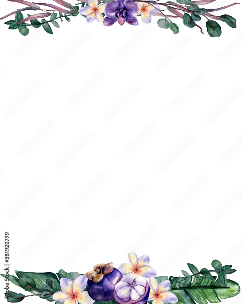 Watercolor hand painted tropical frame with mangosteen, plumeria and ...