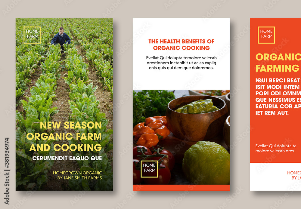 Organic Food Social Media Posts Stock Template | Adobe Stock