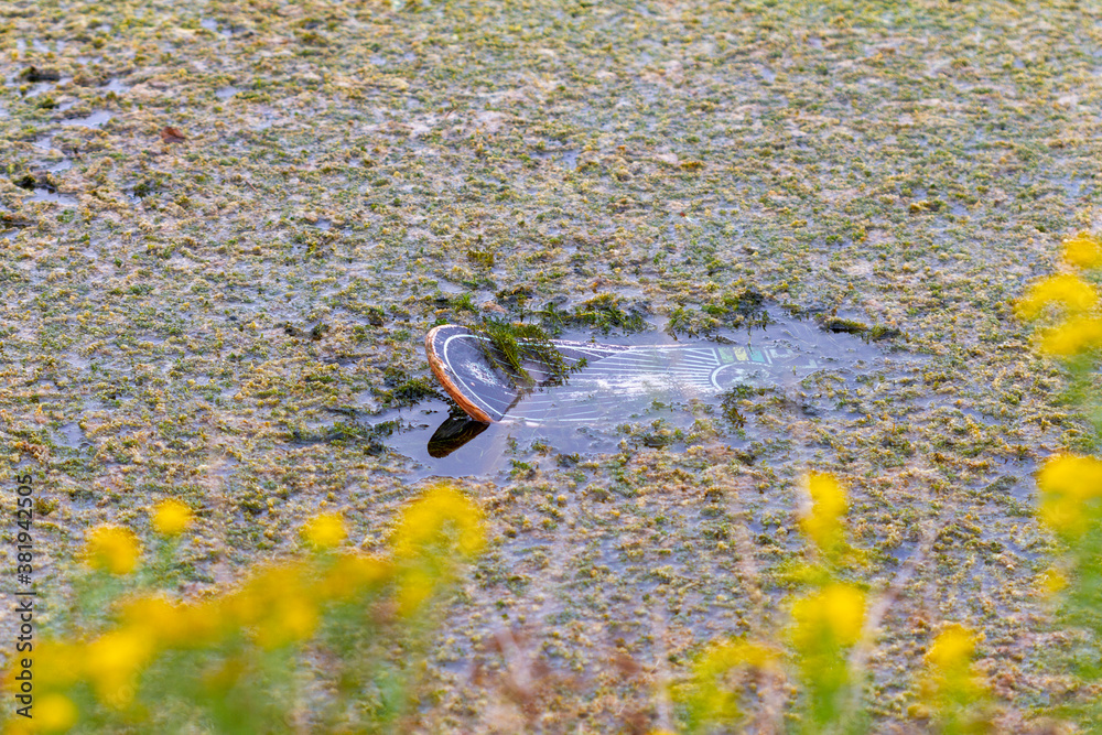 Non biodegradable waste pollution in ponds near residential areas is a ...