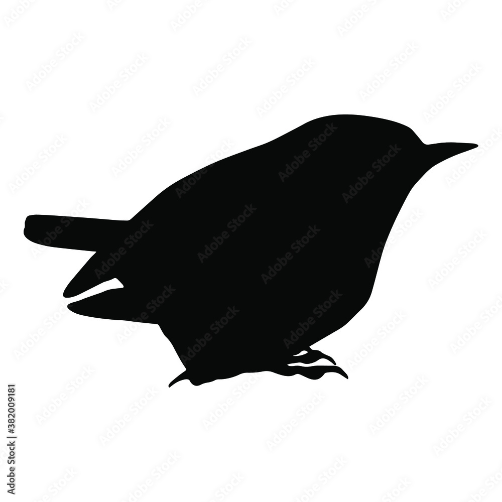 Nuthatch Silhouette