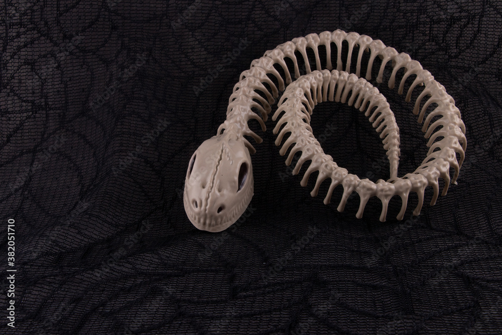 Coiled Serpent skeleton on spider web background Concept for Halloween ...
