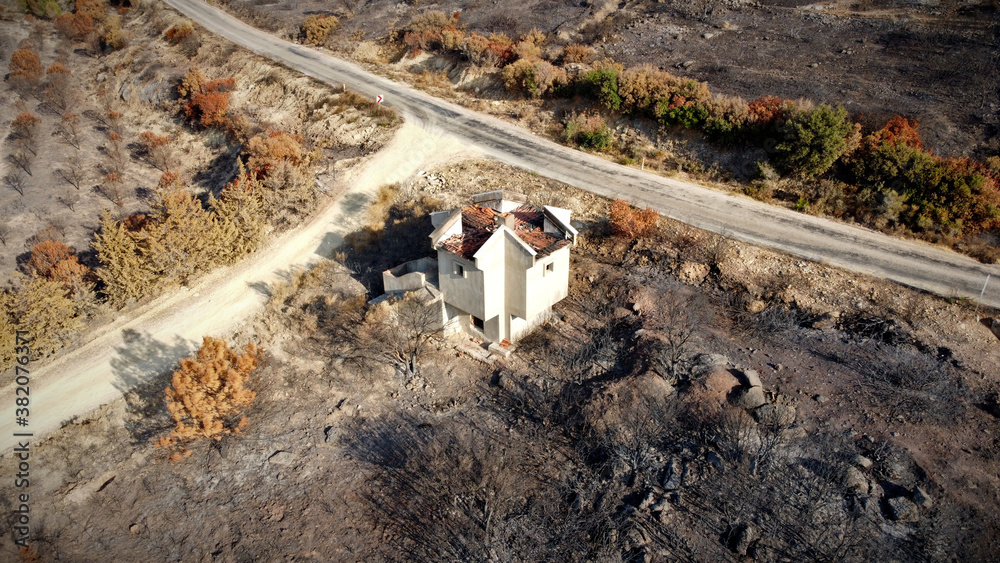 After a forest fire a house is completely destroyed, burnt down. The ...