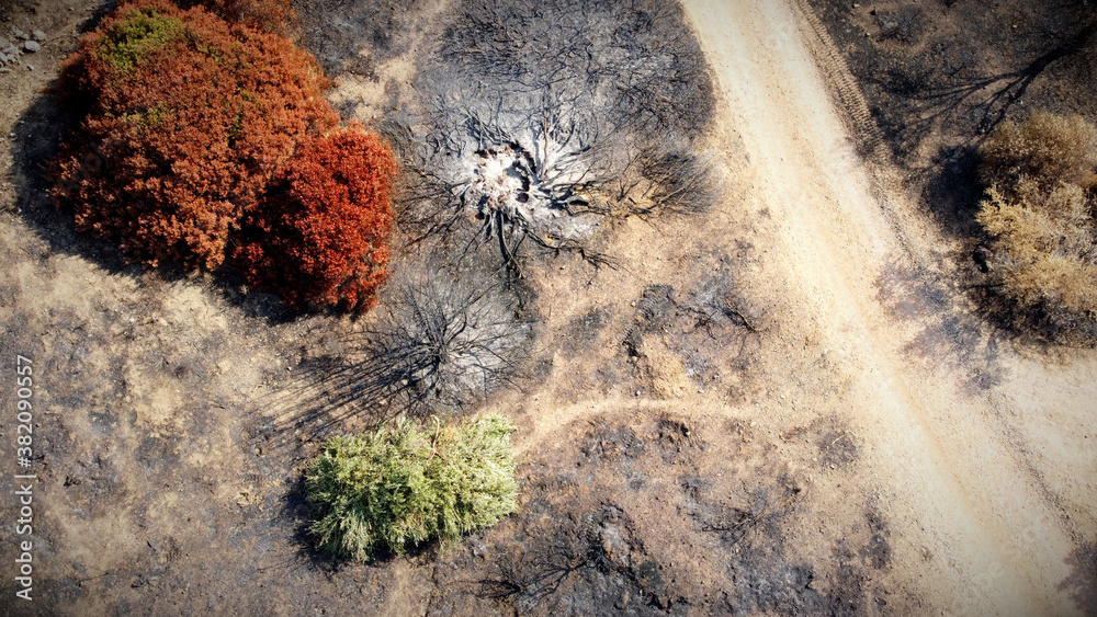 Scorched earth after a forest fire photographed with a drone from a ...