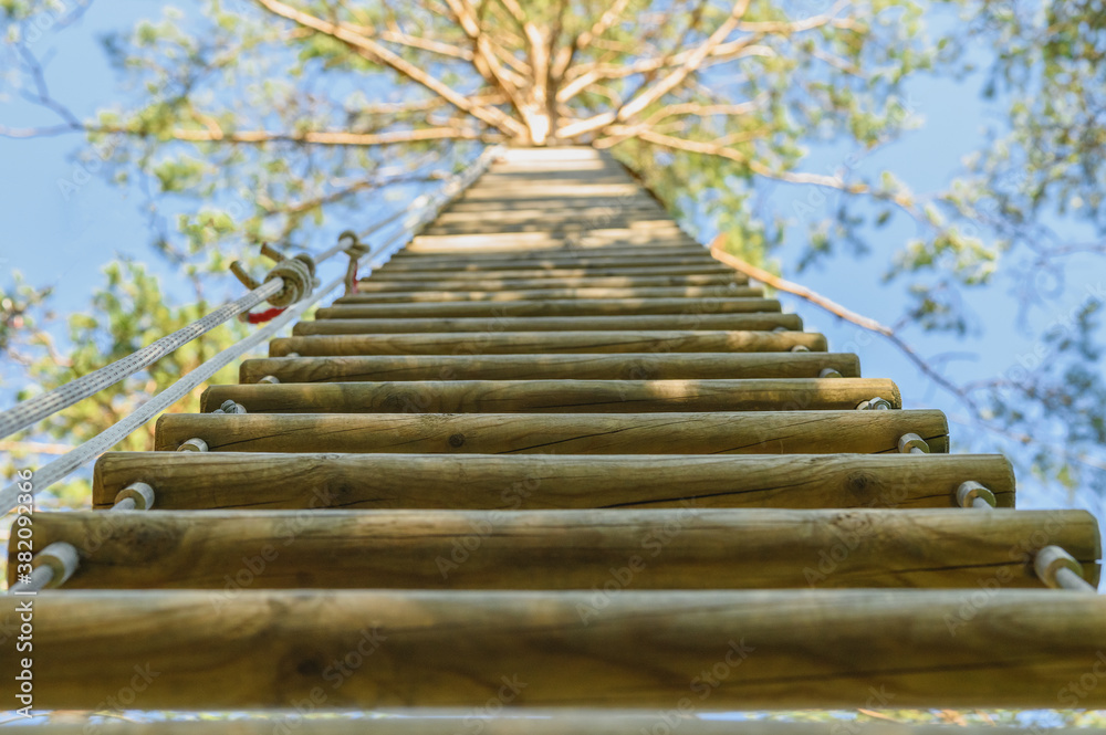 Wooden rope ladder attached to a tall tree in an extreme Park, bottom ...