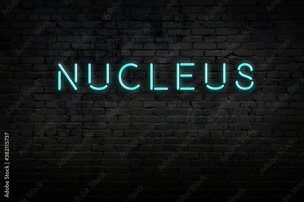 Neon sign. Word nucleus against brick wall. Night view Stock Photo ...
