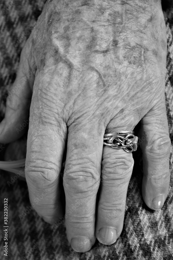 Black and white close up of elderly female small hand showing aging ...