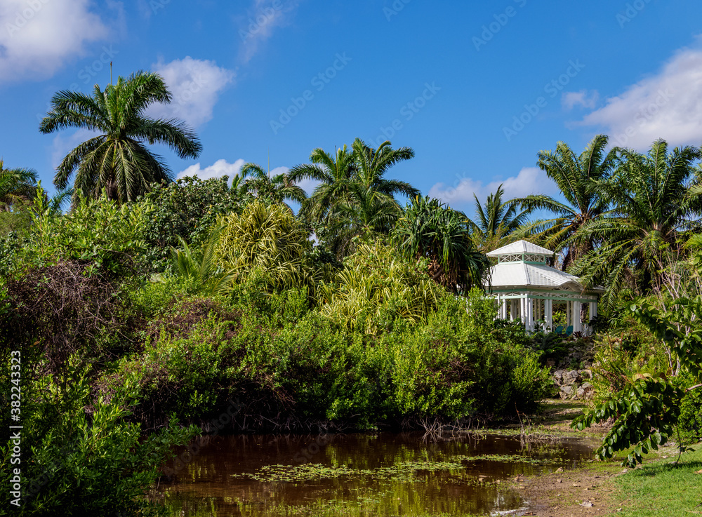 Queen Elizabeth II Botanic Park, North Side, Grand Cayman, Cayman ...