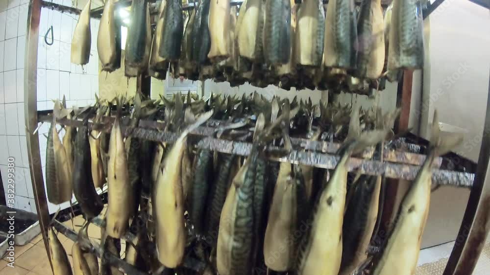 Sea fish hanging on hooks in the shop for the production of fish ...