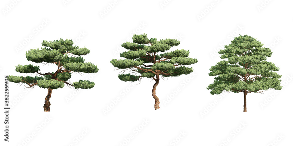 Set of 3D japanese Green Trees Isolated on white background , Use for ...