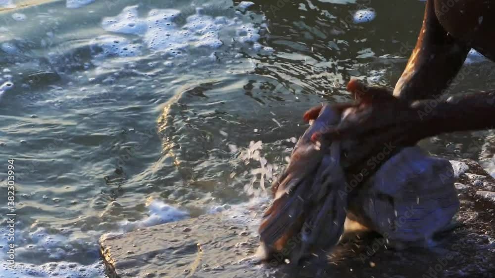 A local washing clothes on the river ganges in Varanasi City of India ...
