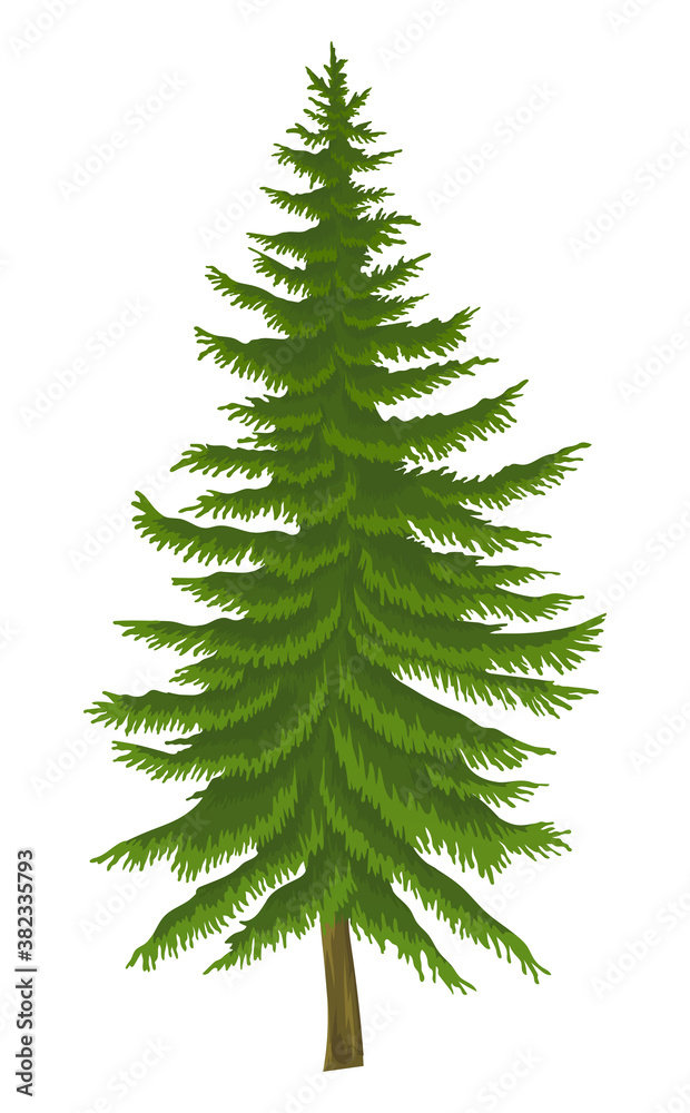 Cartoon illustration of fir-tree isolated at white background ...