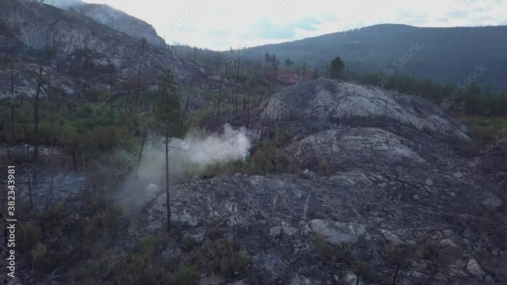 Forest fire in BC Canada burning and smoke from above in unique drone ...