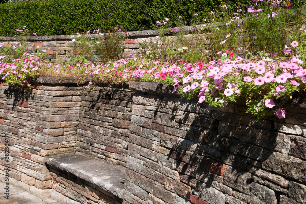 Sydney Australia, retaining wall with bench topped with flowering ...
