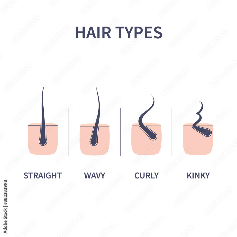 Straight Wavy Curly Kinky Hair Types Classification Set Skin Cross Straight Wavy Curly Kinky Hair Types Classification Set Skin Cross