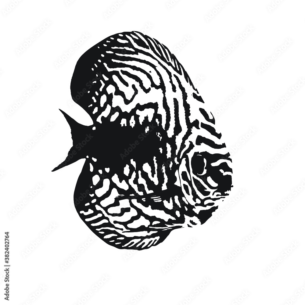 discus fish silhouette Stock Vector | Adobe Stock