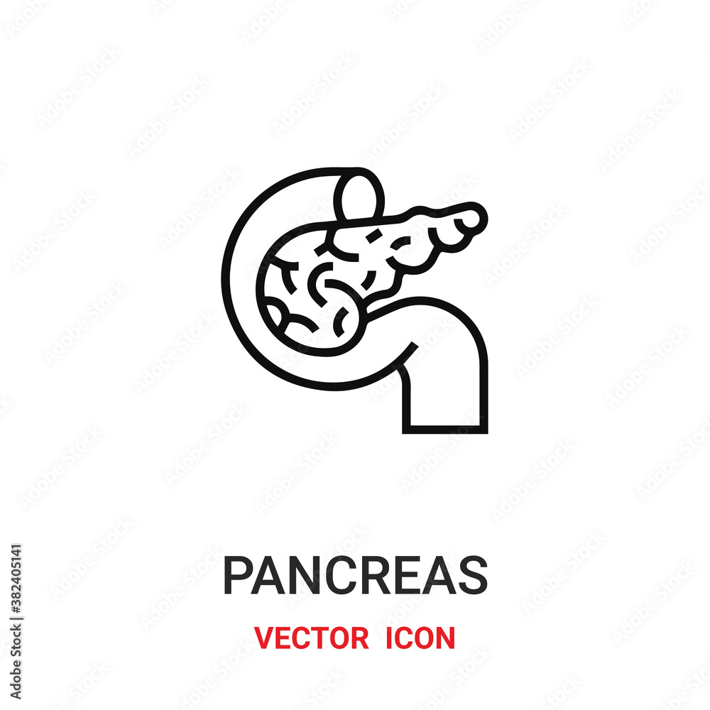 pancreas icon vector symbol. pancreas symbol icon vector for your ...