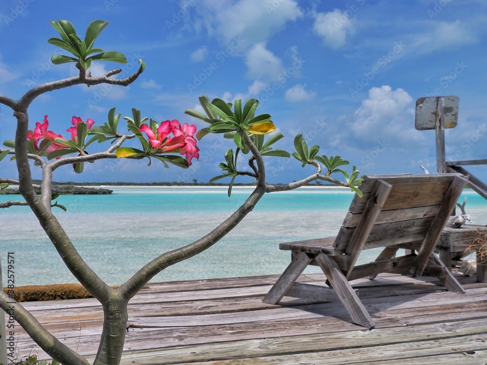 Paysage reposant des Caraïbes Stock Photo | Adobe Stock