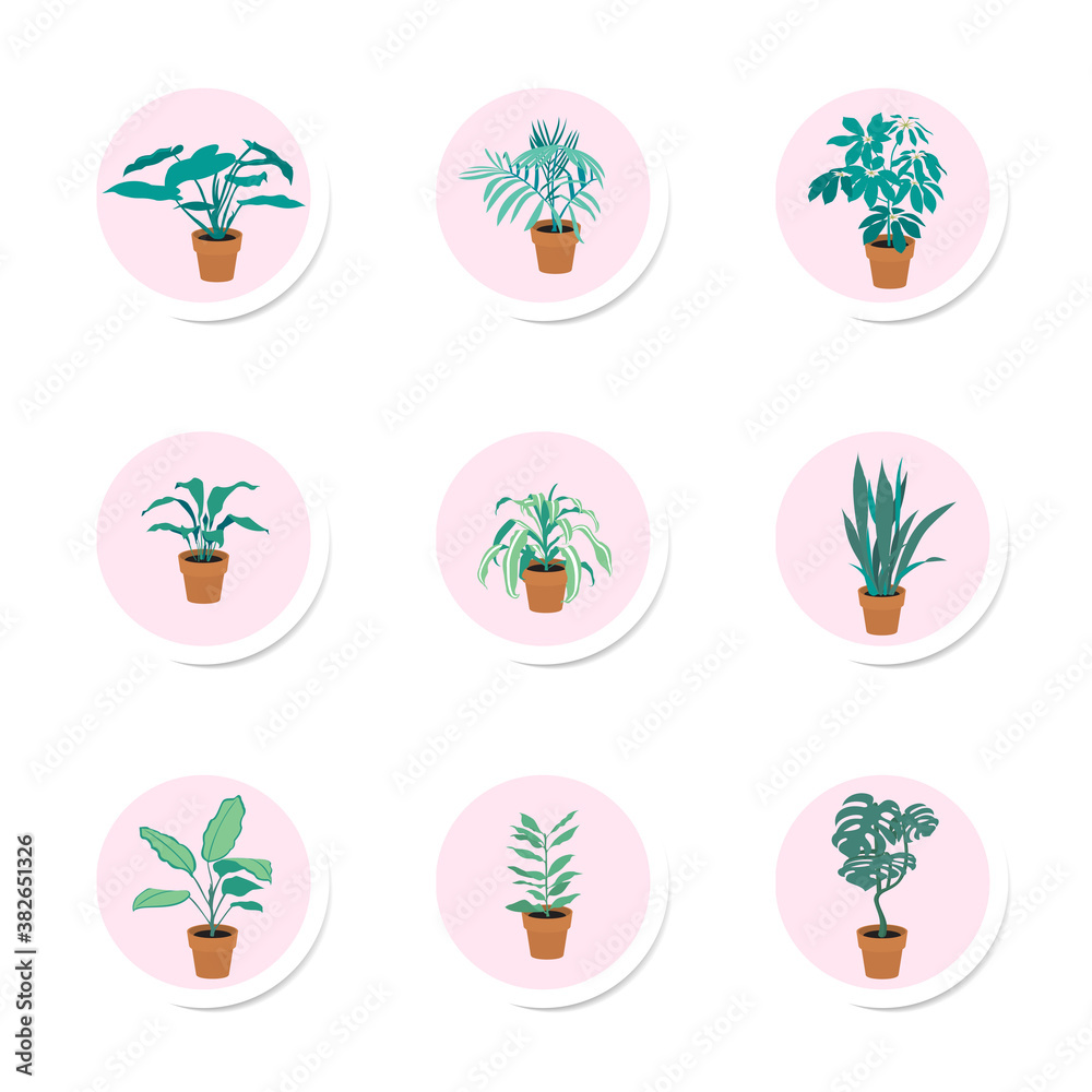 Set of round icons of house flowers in pots isolated on white ...