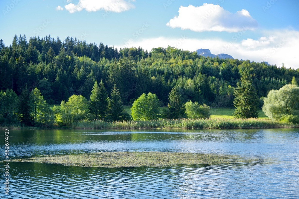 Forggensee Stock Photo | Adobe Stock