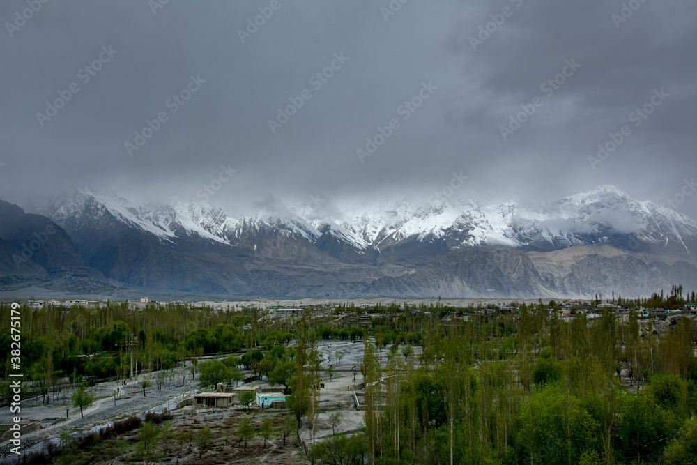 spring landscape photos of cherry blossom ,apricot blossom and spring ...