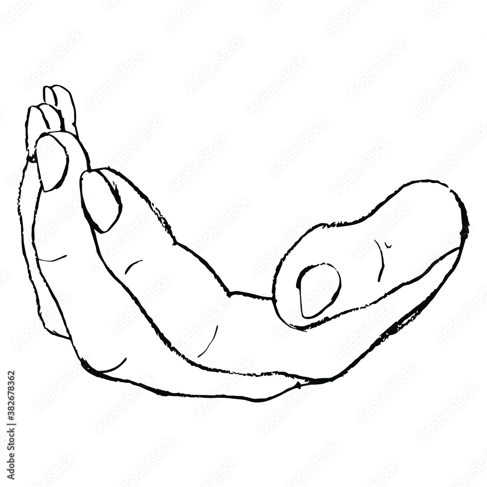 Empty human hand in scooping gesture. Black and white linear silhouette ...
