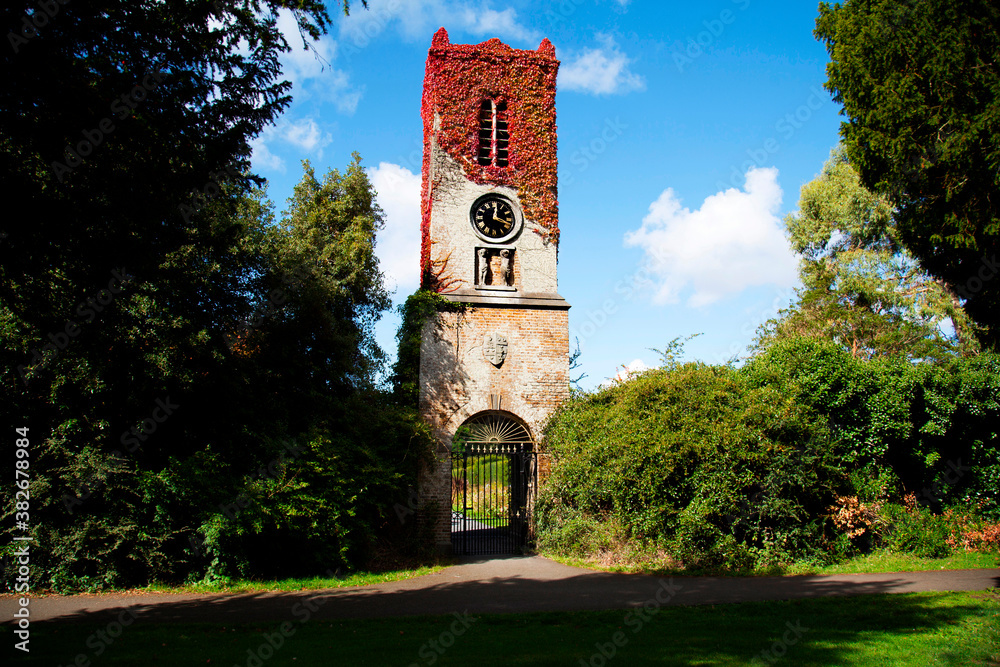 vintage brick clocktower with red ivy, surrounded by green bushes or ...