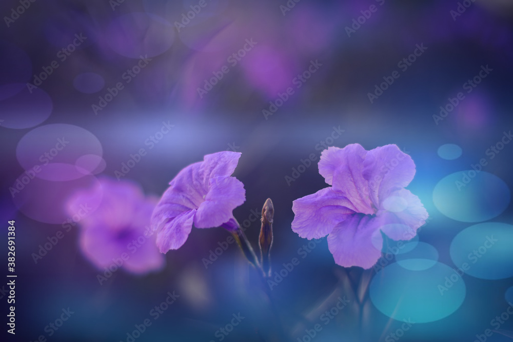 Ruellia tuberosa is also known as snapdragon root, fever root, Minnie ...