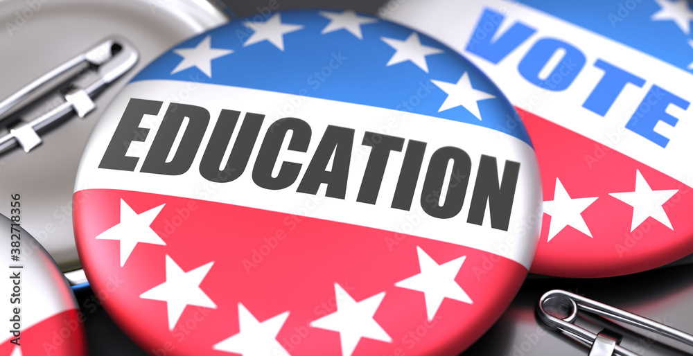 Education and elections in the USA, pictured as pin-back buttons with ...