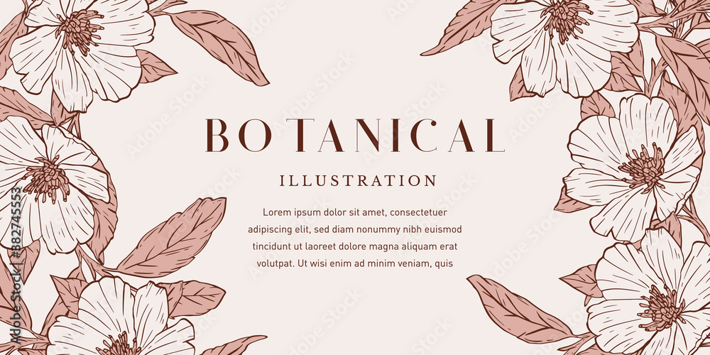Botanical Illustration Stock Vector | Adobe Stock