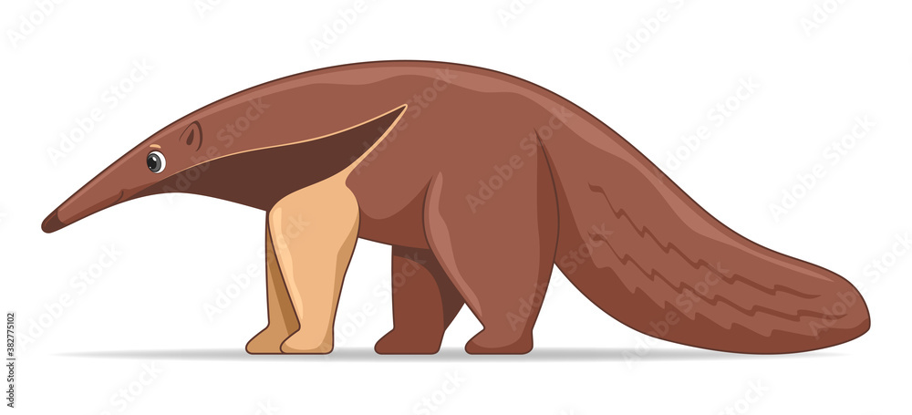 Giant Anteater Standing