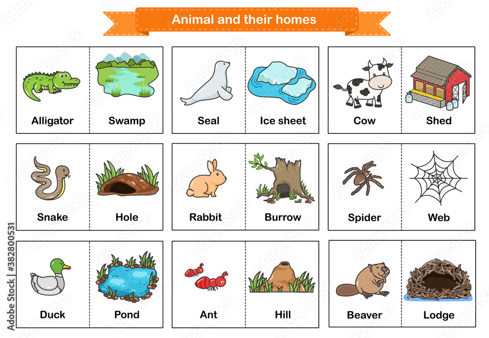 Animal and Their Homes Flash Cards. Printable flash card illustrating ...