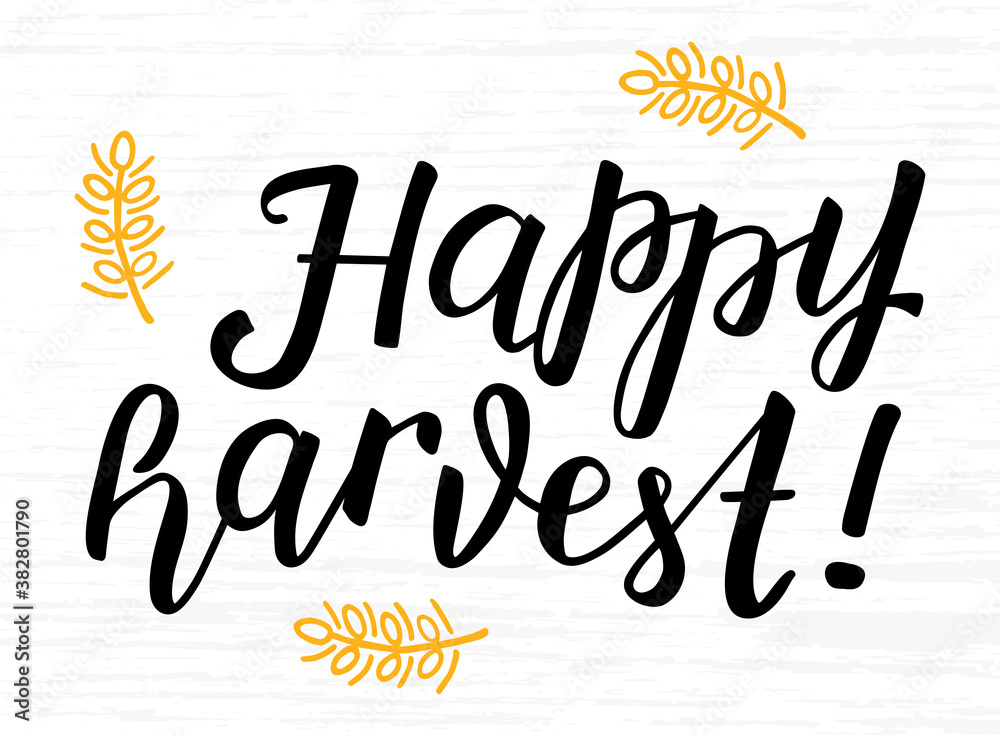Happy Harvest hand written Lettering with wheat spikes. Black vector ...