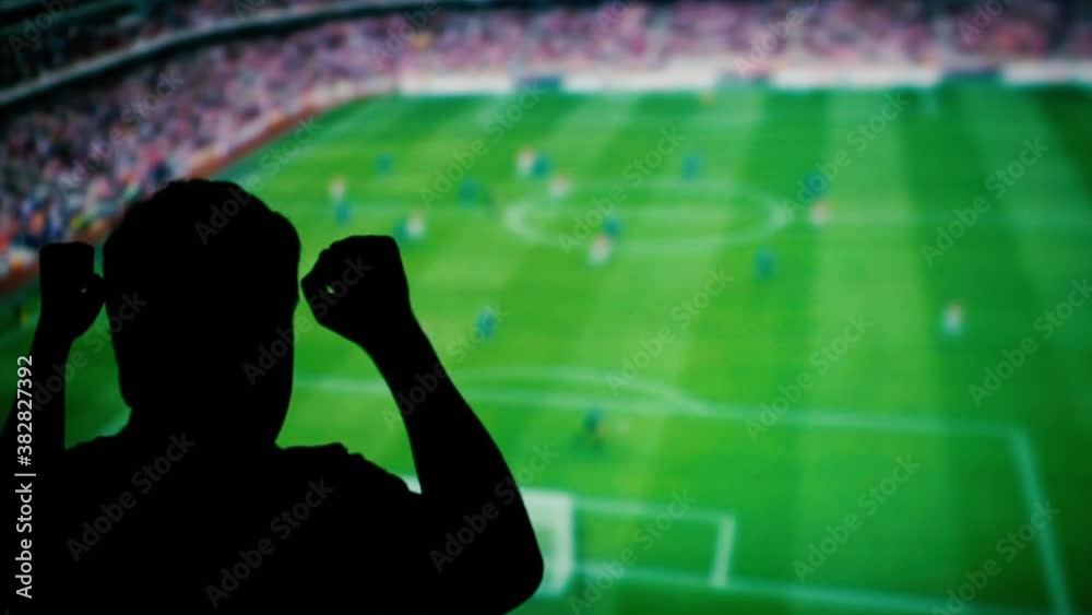 Soccer Fans In Football Stadium, a silhouette of a male soccer fan ...