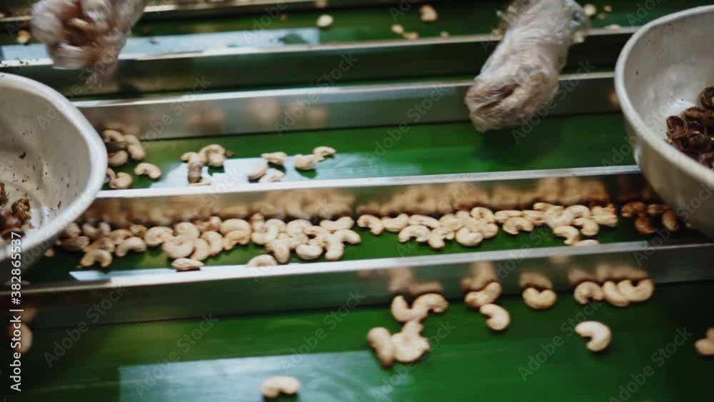 Labourer picking the cashew nutshell inside cashew factory after ...