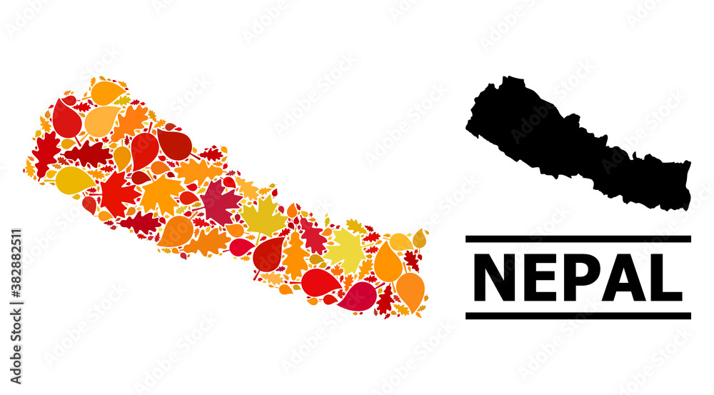 Mosaic autumn leaves and usual map of Nepal. Vector map of Nepal is ...