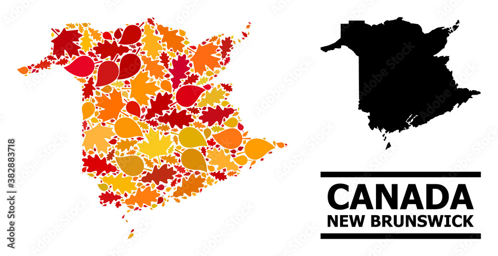 Mosaic autumn leaves and usual map of New Brunswick Province. Vector ...