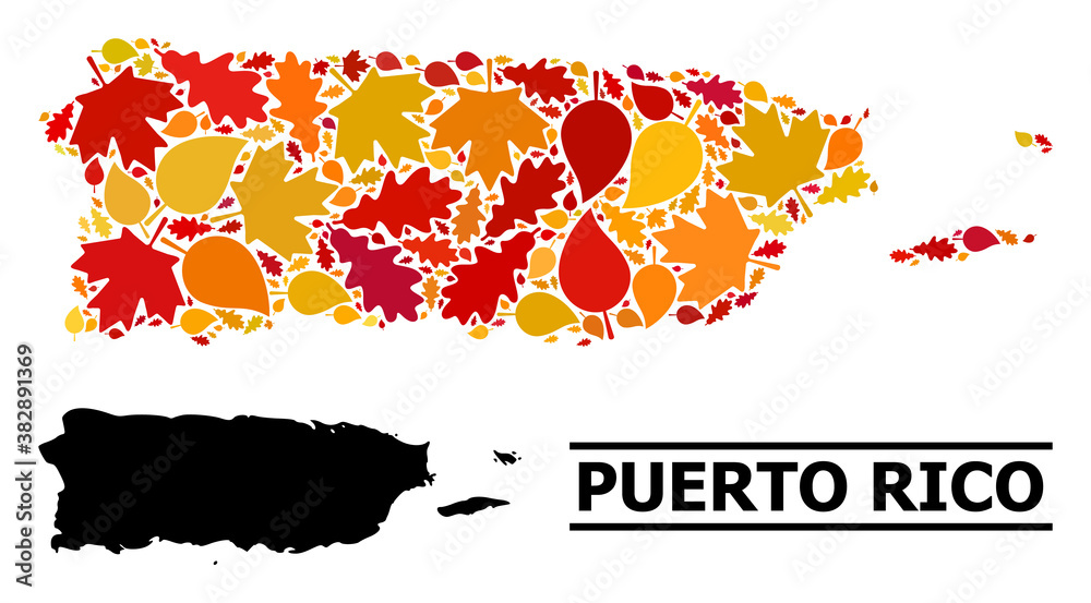 Mosaic autumn leaves and usual map of Puerto Rico. Vector map of Puerto ...