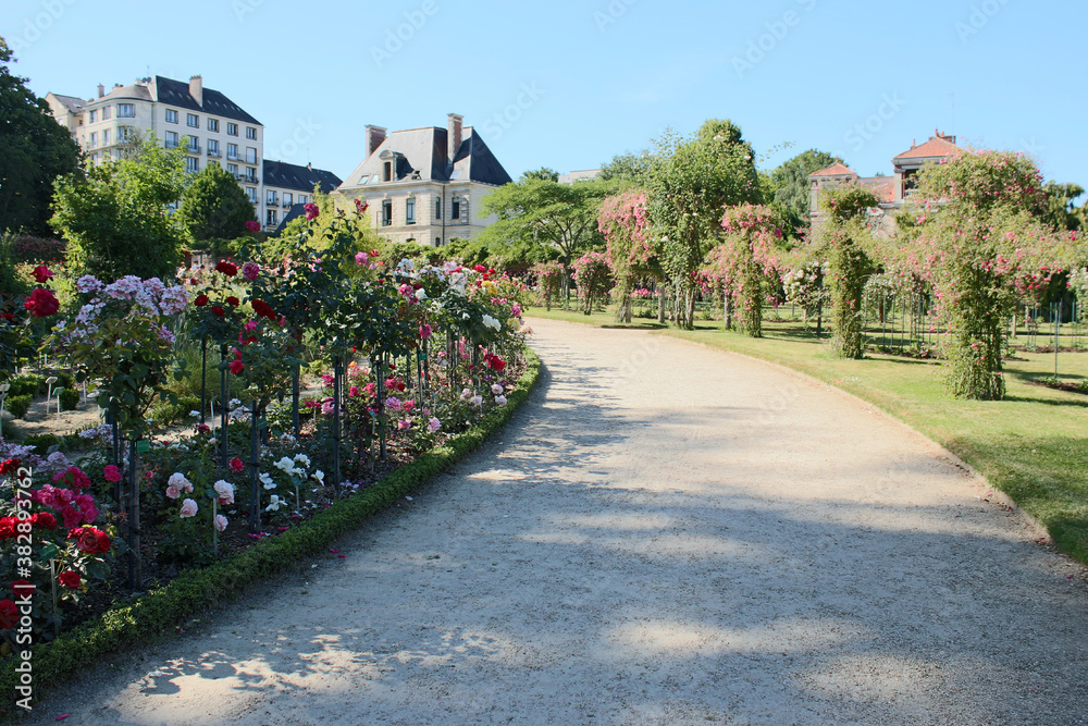 Rennes - Parc du Thabor - Jardin Botanique Stock Photo | Adobe Stock